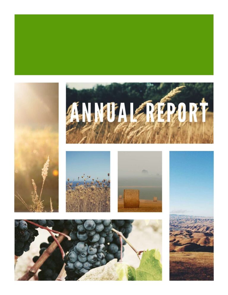 Report Template Free Download (1) - TEMPLATES EXAMPLE | TEMPLATES EXAMPLE