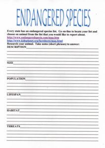 Animal Report Template 5th Grade (2) - TEMPLATES EXAMPLE | TEMPLATES ...