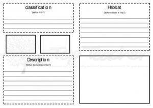 Animal Report Template 5th Grade (3) - TEMPLATES EXAMPLE | TEMPLATES ...