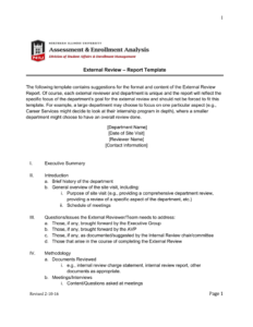 Report Review Template (5) - TEMPLATES EXAMPLE | TEMPLATES EXAMPLE