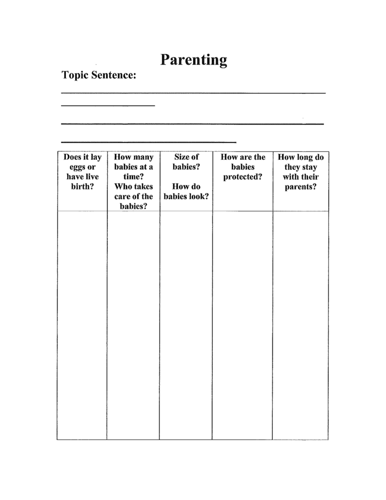 Animal Report Template 3rd Grade Pdf (4) - TEMPLATES EXAMPLE ...